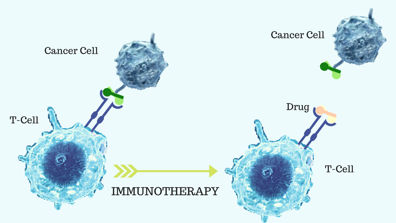 Cancer Immunotherapy - Heal In India